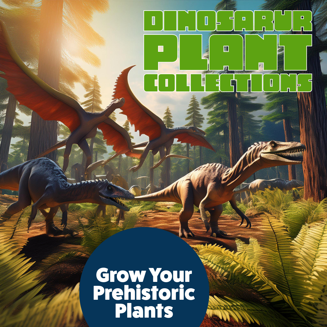 Dinosaur Plants Collection – Unique Gardener