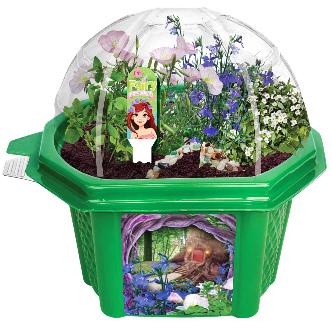 Tiny Fairy Wonderland Micro Dome Terrarium – Unique Gardener