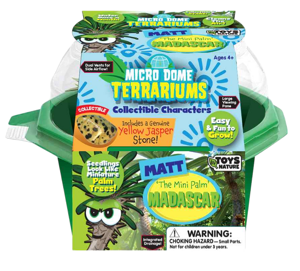Matt 'The Mini Palm' Madagascar Micro Dome Terrarium – Unique Gardener